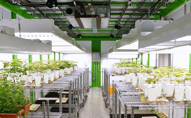 Plant Growth Rooms Market Growth Prediction Regional Landscape Plant Growth Rooms Market Growth Prediction Regional Landscape